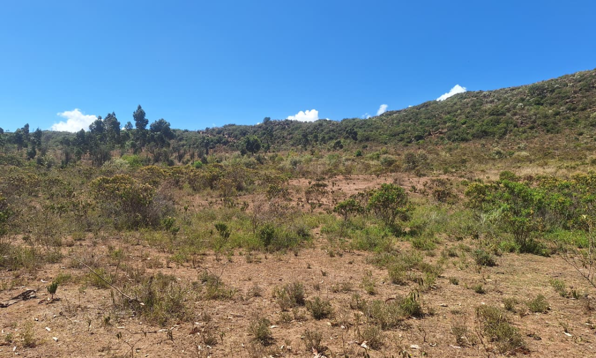 Nachu Residential Land for Sale - Premier Realty