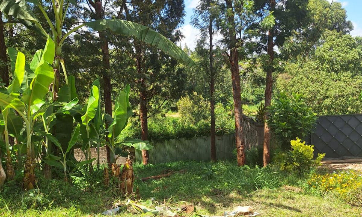 Runda Residential Land for Sale - Premier Realty