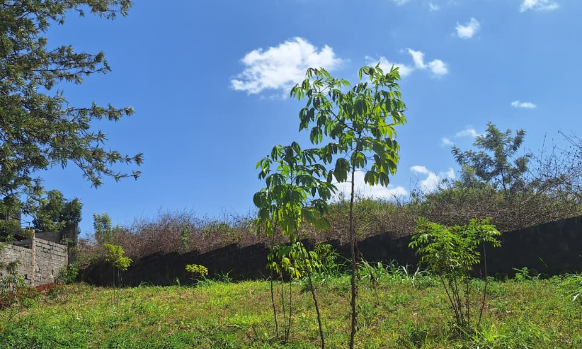 Runda Residential Land for Sale - Premier Realty