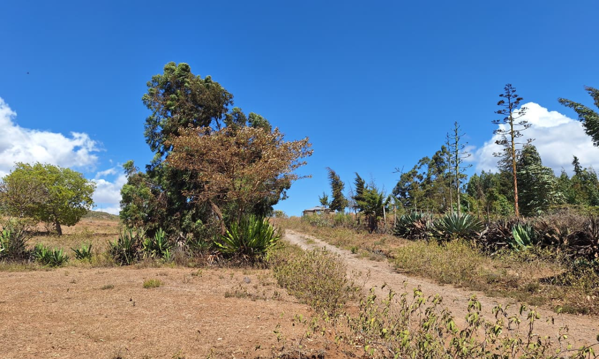 Nachu Residential Land for Sale - Premier Realty