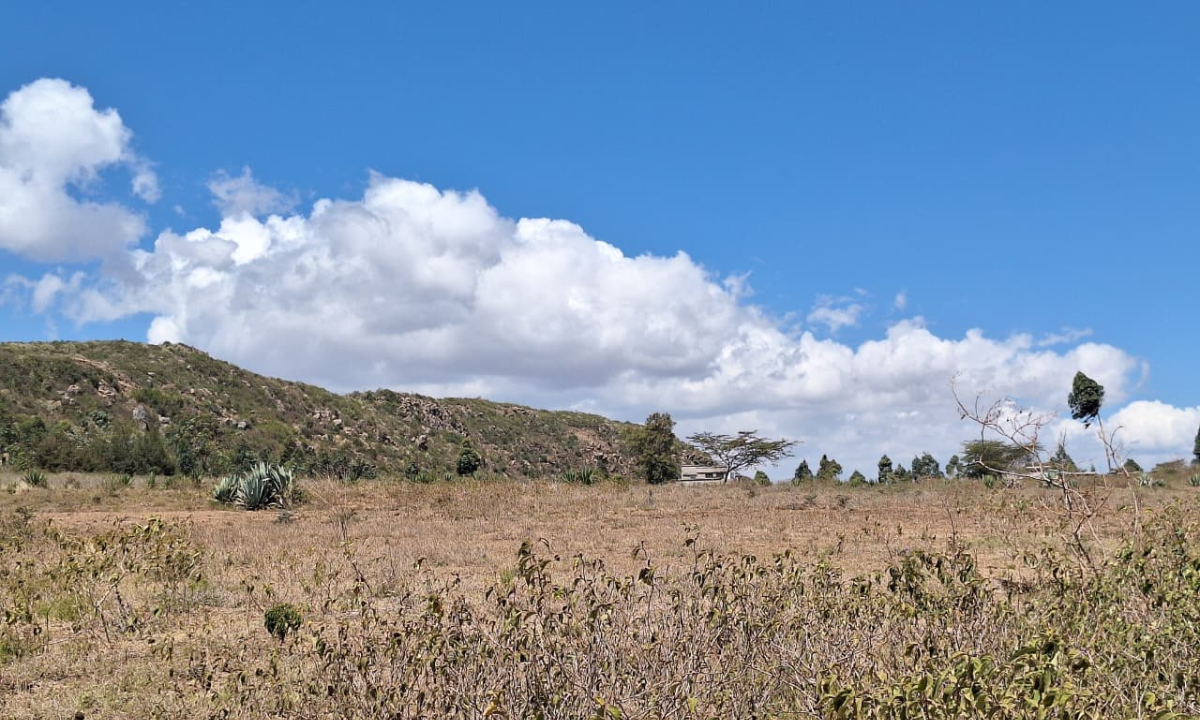 Nachu Residential Land for Sale - Premier Realty